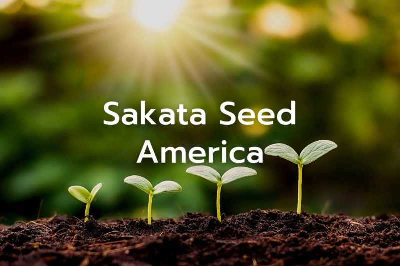 SharePoint Migration Services | Compass 365